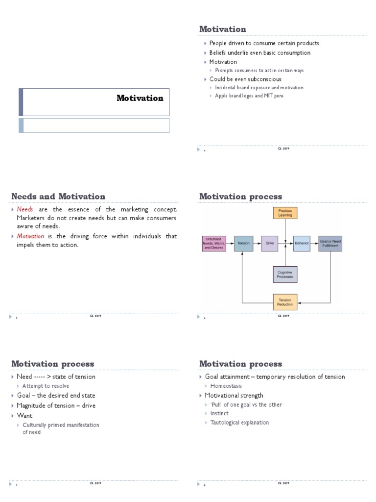 Understanding Consumer Motivation | PDF | Defence Mechanisms | Value ...