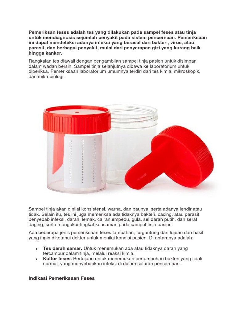 Pemeriksan Feses Adalah Tes Yang Dilakukan Pada Sampel Feses Atau Tinja ...