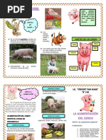 Ciclo de Vida de La Vaca | PDF | Vacas | Leche