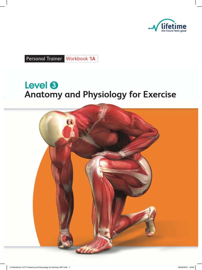 L3 Anatomy and Physiology Learner Workbook 1A Mar12 | PDF | Heart Valve ...
