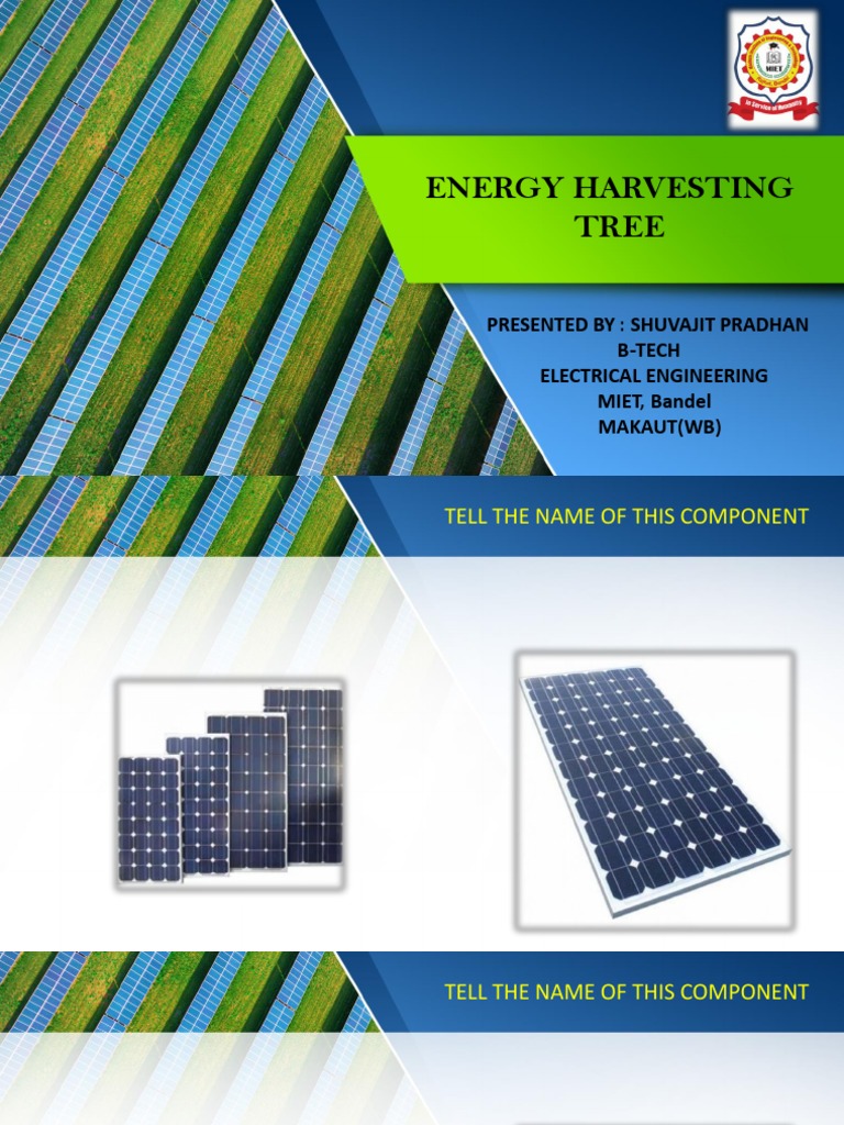 Solar Energy Harvesting Tree | PDF | Solar Energy | Photovoltaics