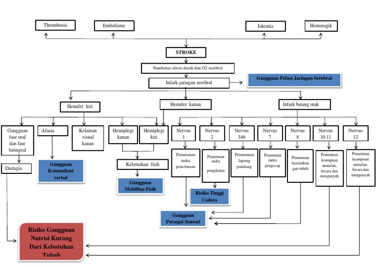 Woc Soca KDP Snh-Nutrisi | PDF