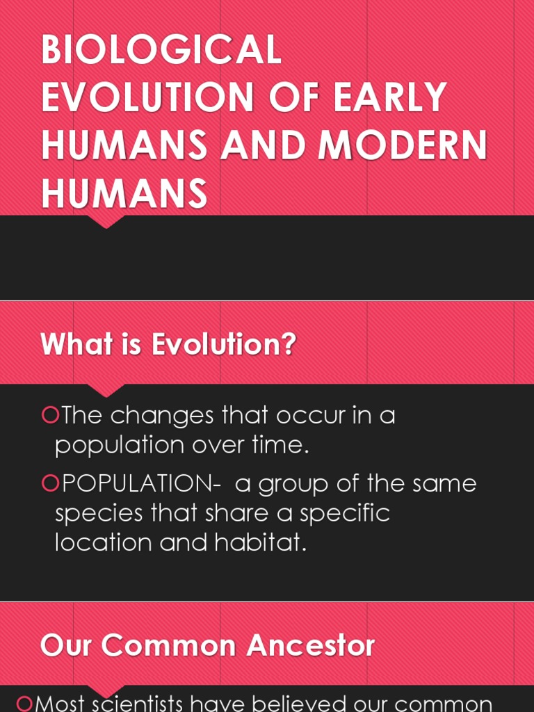 Biological Evolution of Early Humans and Modern Humans | PDF | Human ...