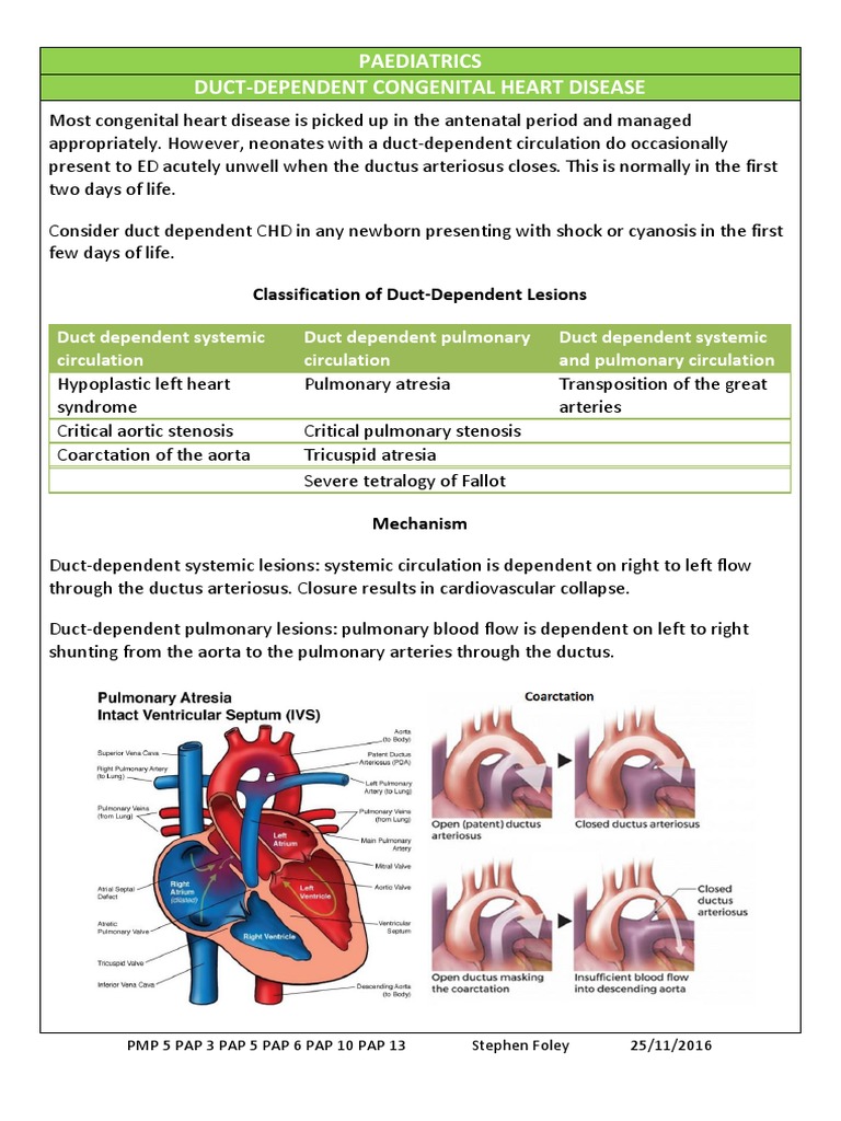Duct Dependent CHD | PDF | Congenital Heart Defect | Circulatory System
