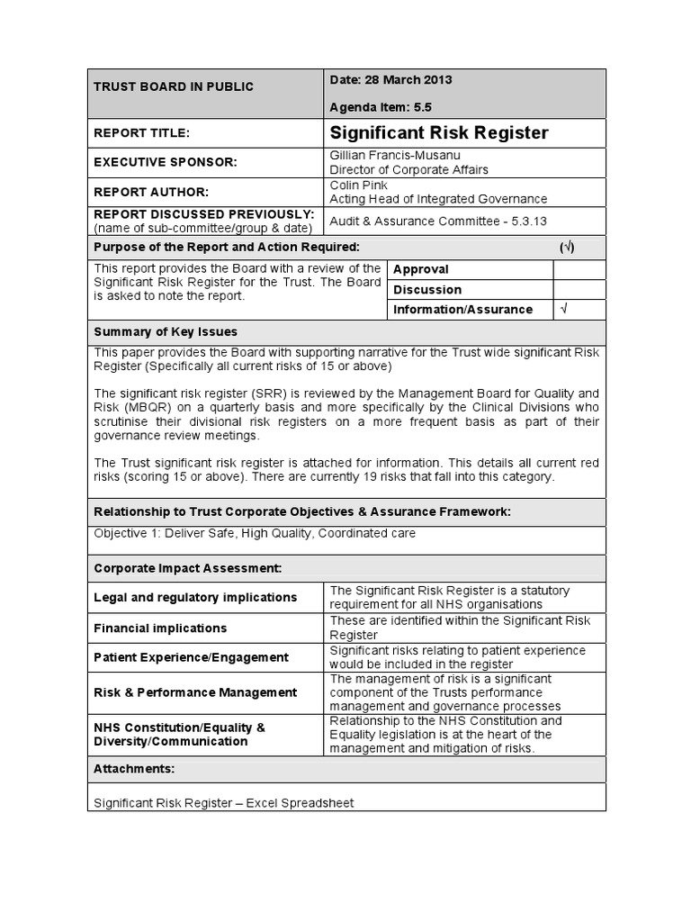 Significant Risk Register Review | PDF | Risk | Medical Ultrasound