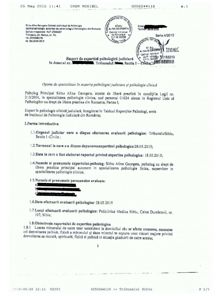 Raport de Expertiza Psihologica | PDF