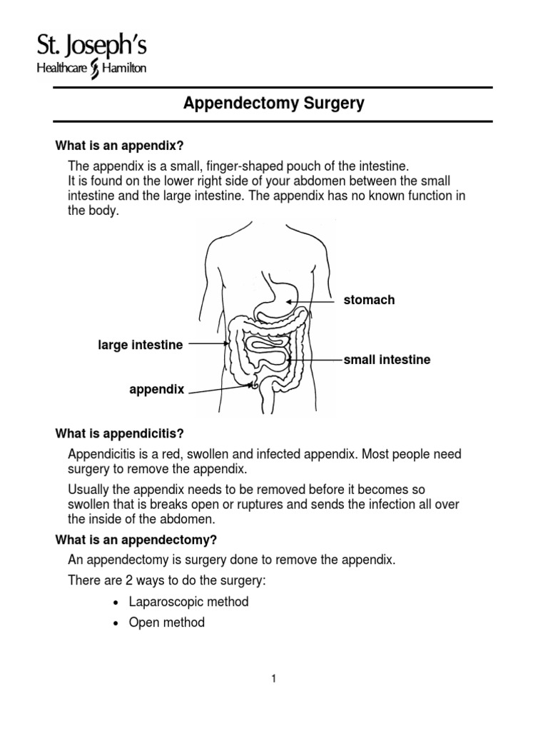 Appendectomy Surgery: What Is An Appendix? | PDF | Surgery | Health ...