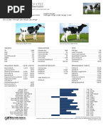 Abs Sire Directory 23 | PDF | Dairy Cattle | Cattle