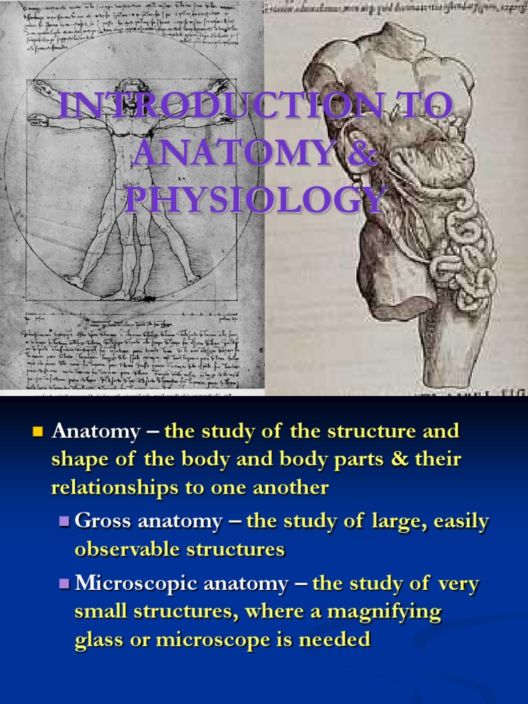 Understanding the Building Blocks of Anatomy and Physiology | PDF ...