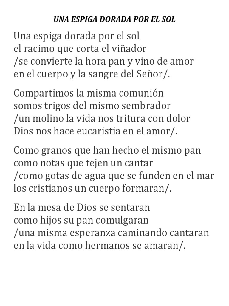 Una Espiga Dorada Por El Sol Eucaristía Cristo Título