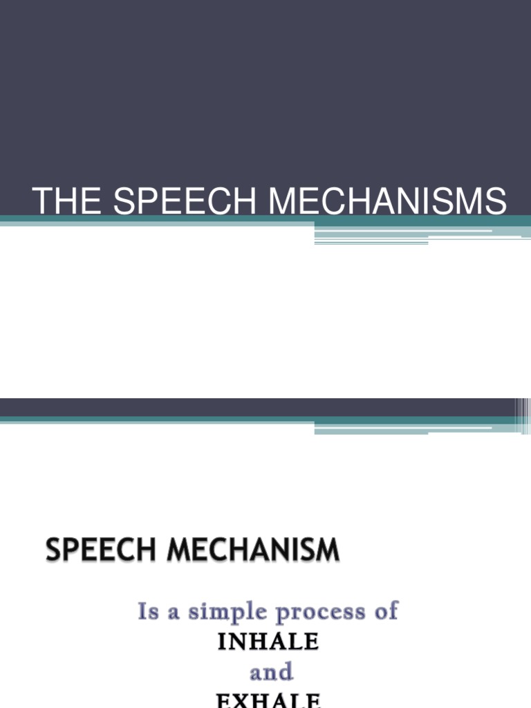 The Speech Mechanisms | PDF | Human Voice | Larynx