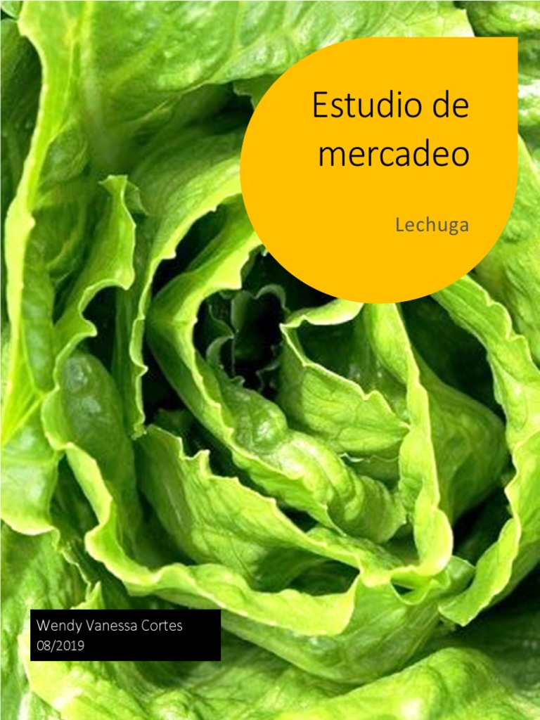 Mercadeo Lechuga | PDF | Lechuga | Alimentos