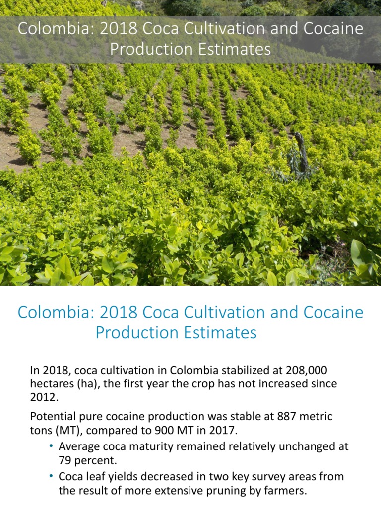 2018 Colombia Coca Cultivation and Cocaine Production Estimates | PDF ...