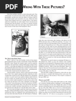 A Chronology of Official Photography During The Autopsy of President ...
