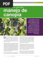 Morfología de Frutos: Silicua y Cipsela | PDF | Fruta | Morfología Vegetal