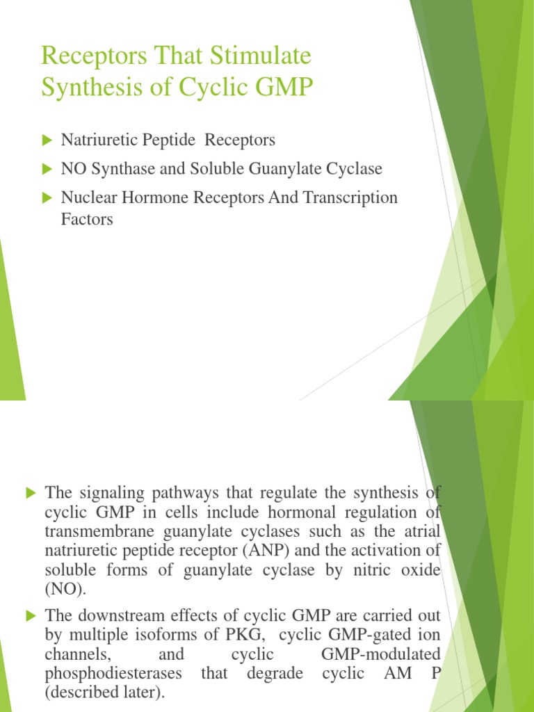 Receptors That Stimulate Cyclic GMP | PDF | Nitric Oxide Synthase | Hormone