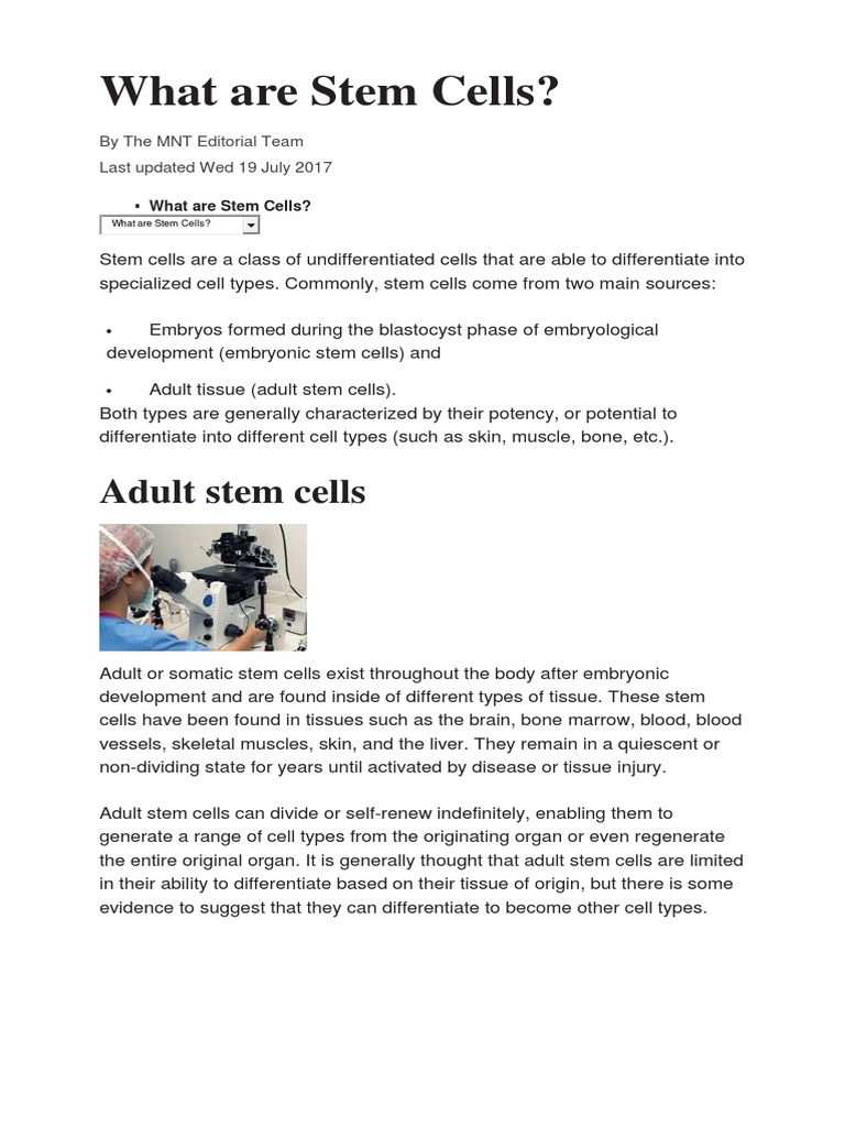 What Are Stem Cells? | Download Free PDF | Stem Cell | Cell Potency