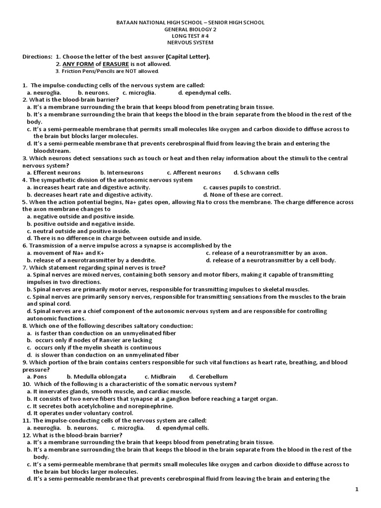 Long Test No. 4 (Nervous System) Ready To Print | PDF | Neuron | Nerve