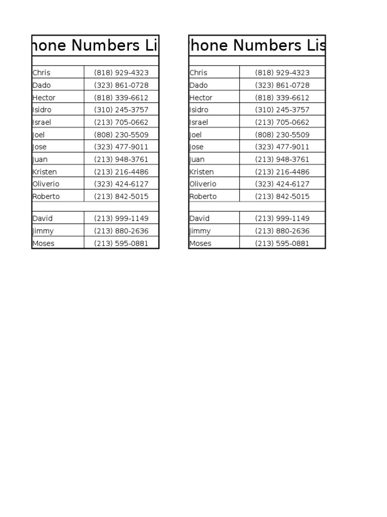 Phone Numbers List | PDF