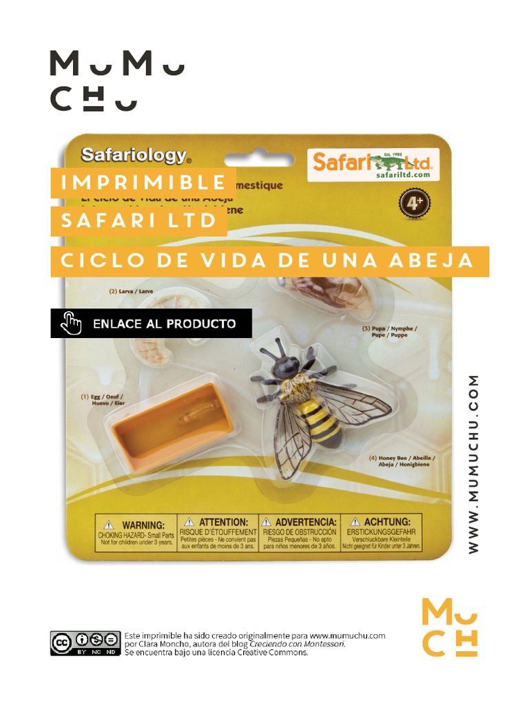 Mumuchu Imprimible Safari Ciclo de Vida Abeja | PDF
