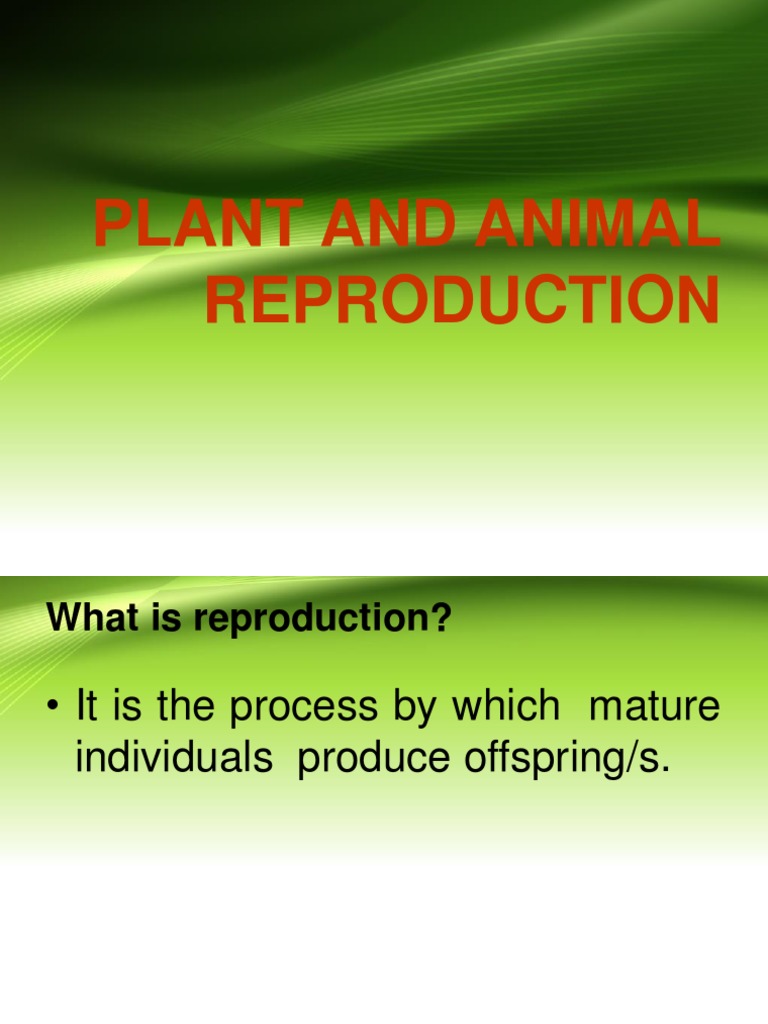 Plant and Animal Reproduction 28 For Presentation 29 | PDF | Sexual ...