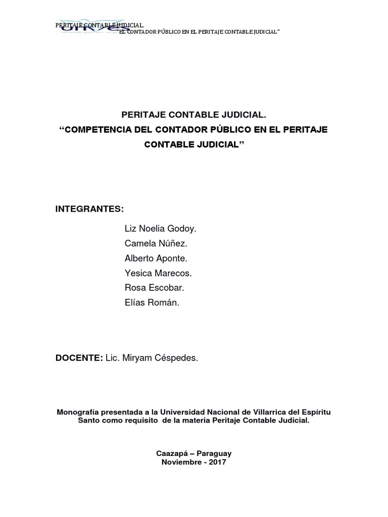 PERITAJE CONTABLE | Testigo experto | Contador