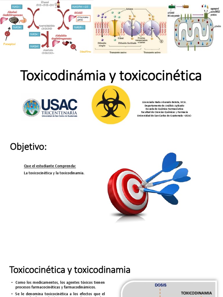 Toxicodinamia y Toxicocinetica | Biotransformación | Toxicidad
