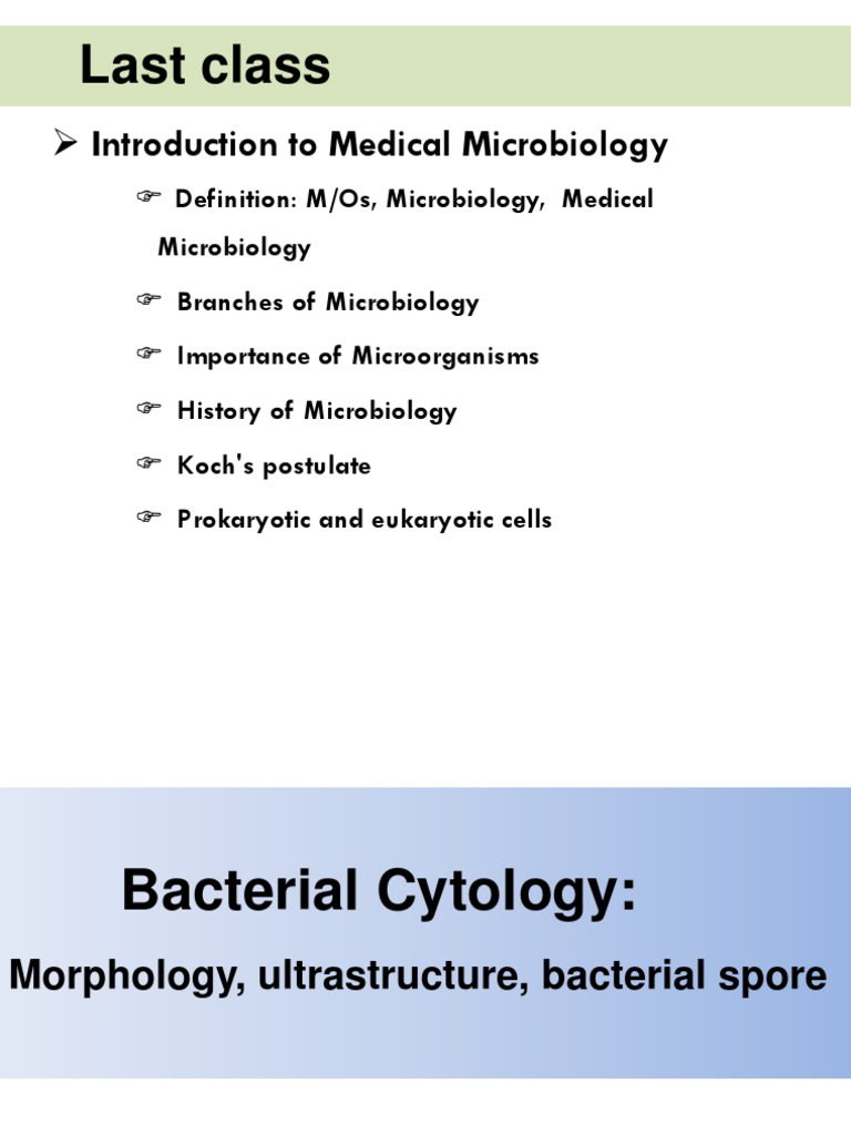 Bacterial Taxonomy Mu | PDF | Bacteria | Gram Negative Bacteria