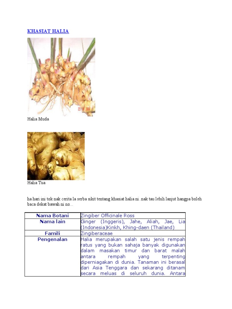 Khasiat Halia | PDF | Sains & Matematika