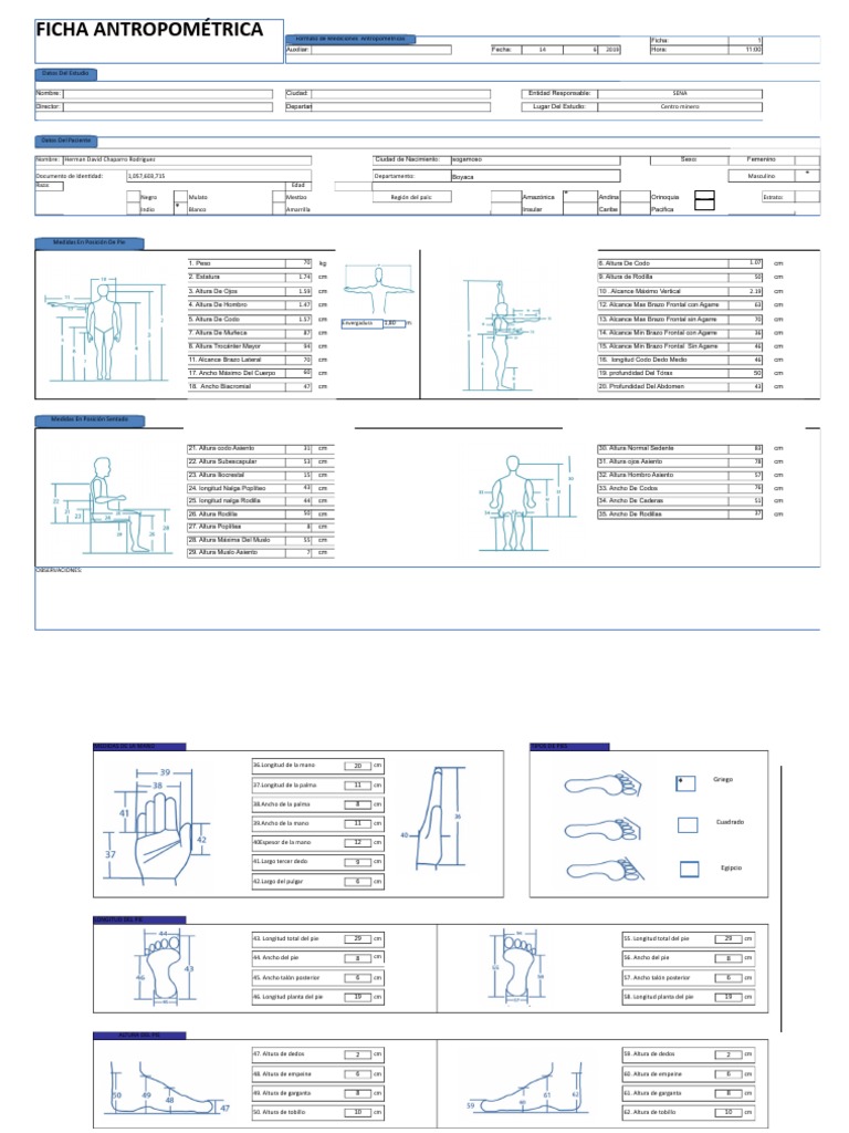 Ficha Antropometrica | PDF | Pie (unidad)