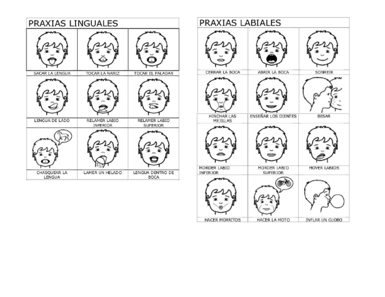Praxias Pdf