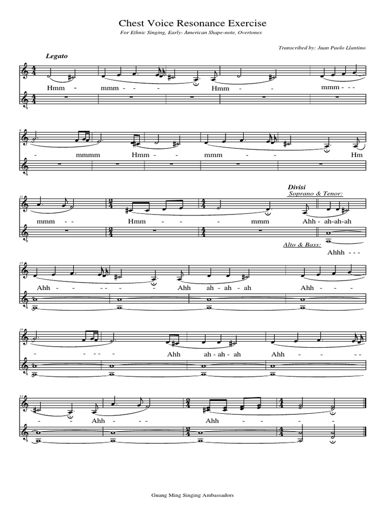 Chest Voice Resonance Exercise | PDF