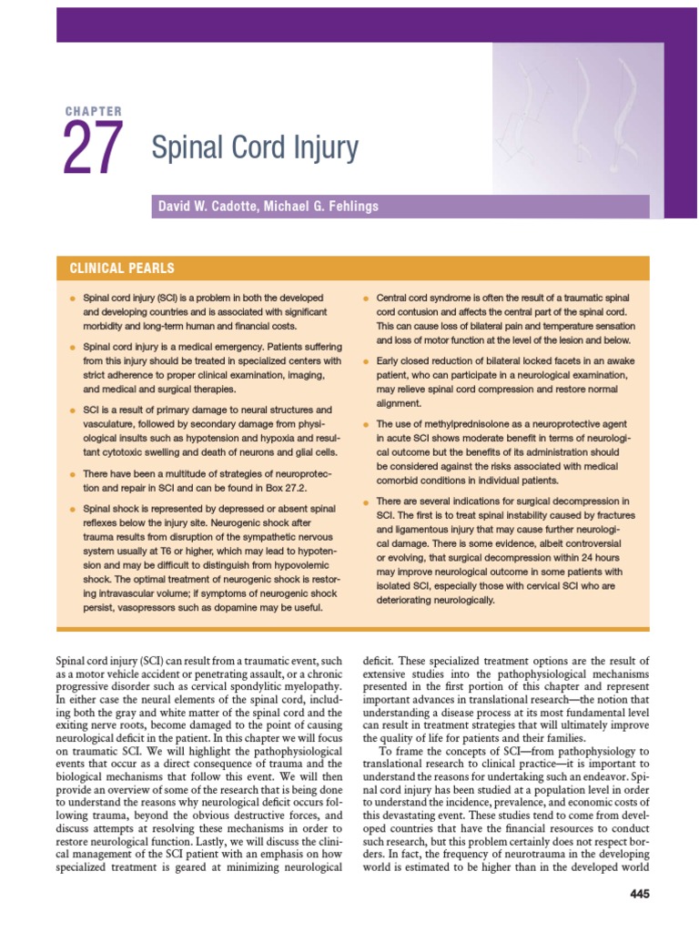 Spinal Injury Cord | PDF | Spinal Cord Injury | Apoptosis