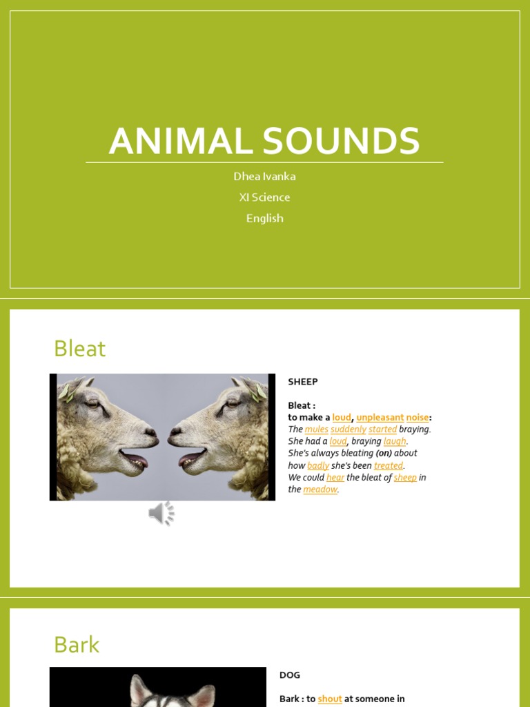 Animal Sounds: Dhea Ivanka XI Science English | PDF | Nature