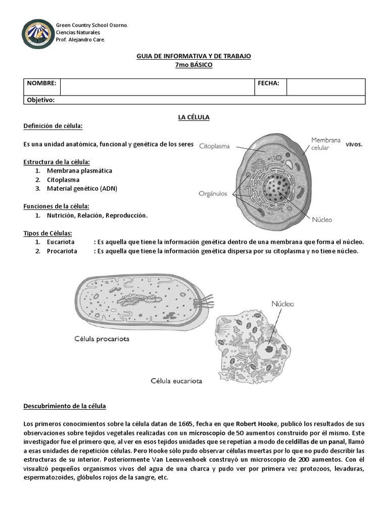 GUIA 7mo - CCNN - La Célula | PDF | Biología Celular) | Microscopio