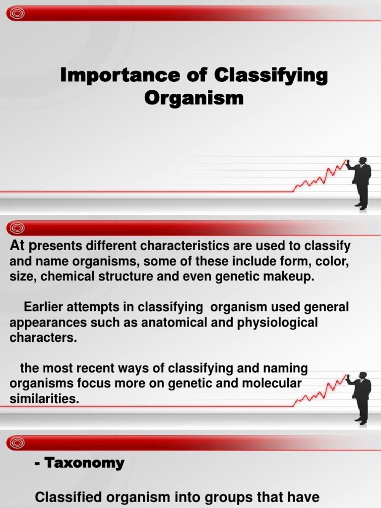 Importance of Classifying Organism | PDF | Species | Cougar
