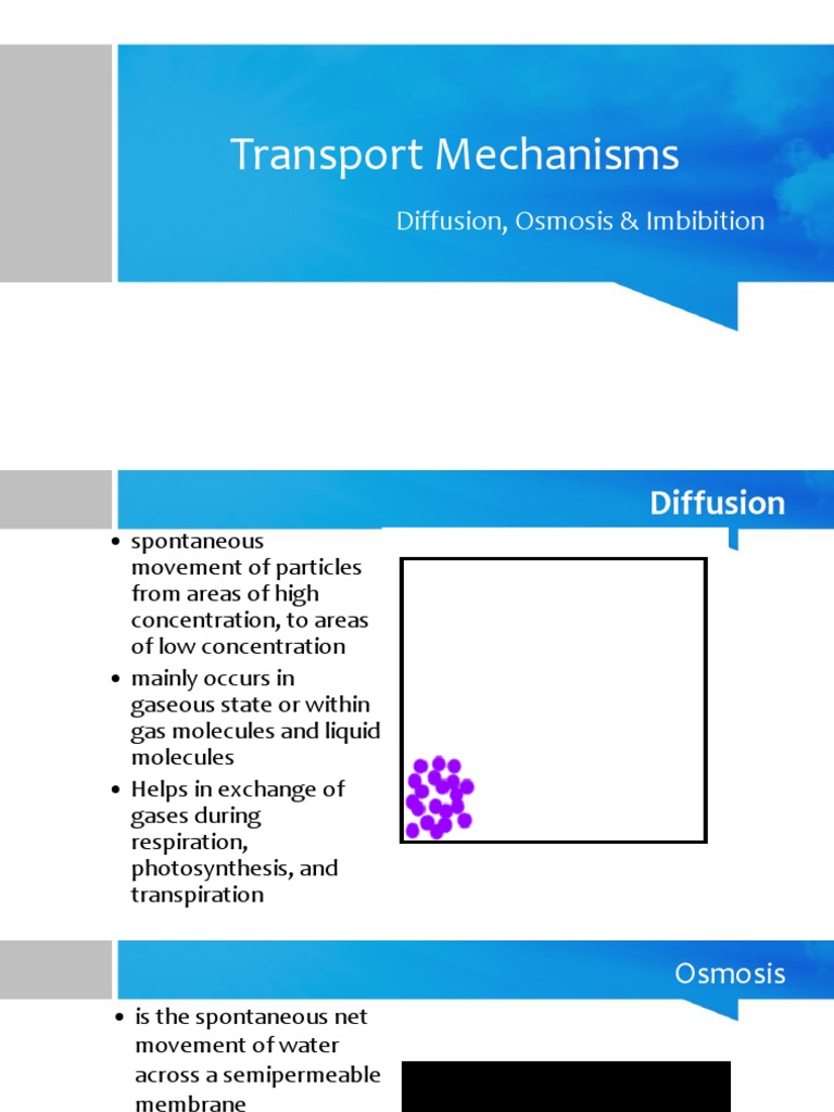 Transport Mechanisms | PDF | Osmosis | Soft Matter