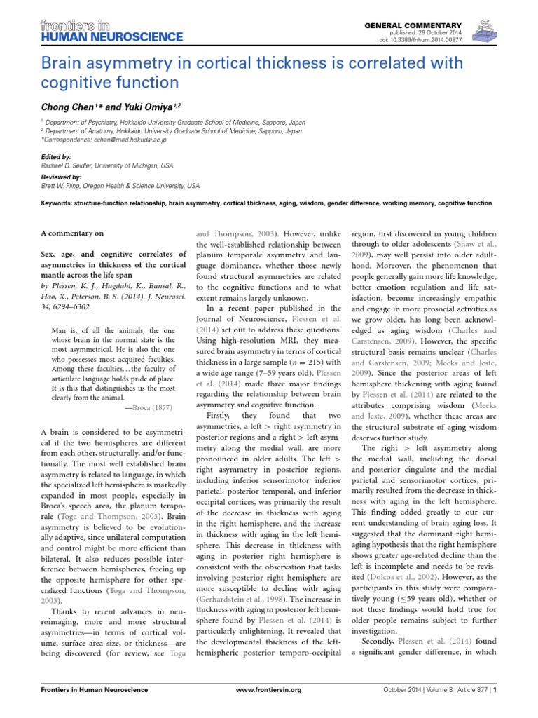 Asimetria Cerebral | PDF | Lateralization Of Brain Function | Cerebral ...