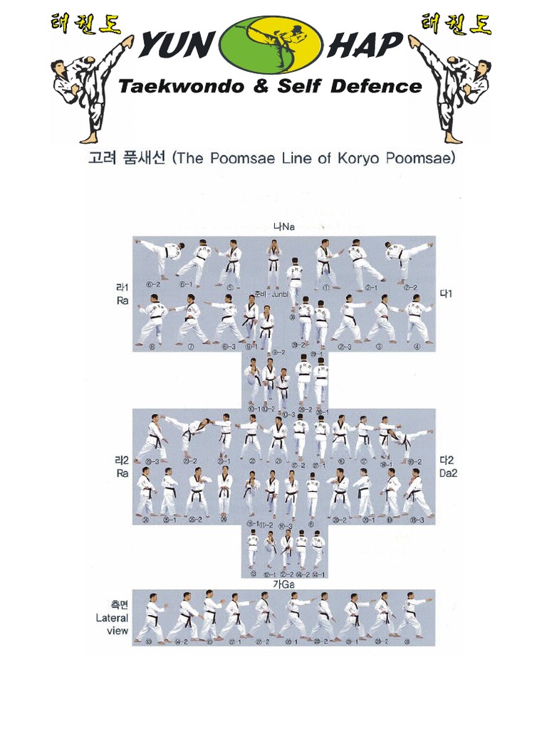 Koryo | PDF | East Asian Martial Arts | Individual Sports