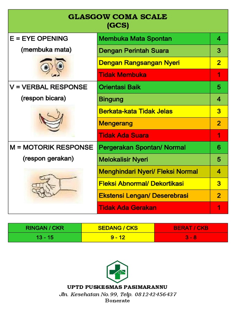 Glasgow Coma Scale Tempel | PDF