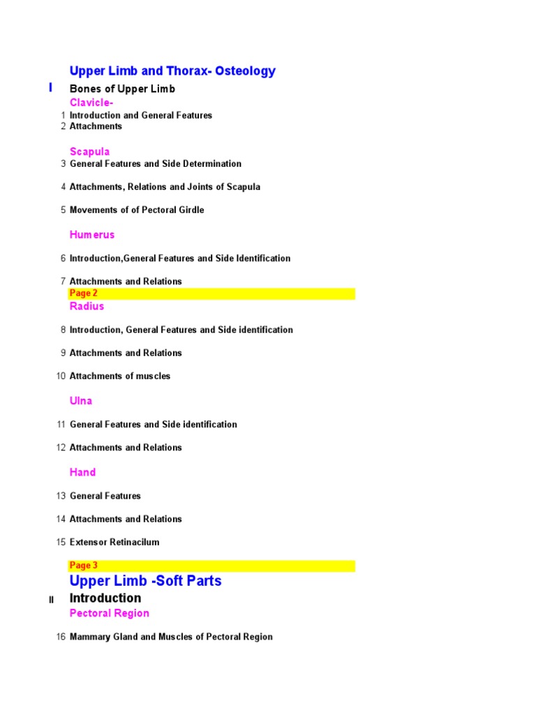 Upper Limb Bones Osteology | PDF | Human Leg | Arm