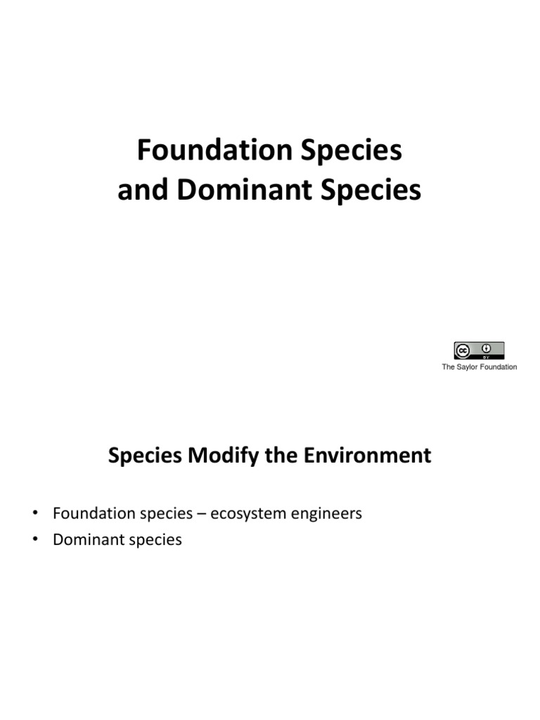 BIO313 Foundation Species and Dominant Species FINAL1 | PDF | Habitat ...