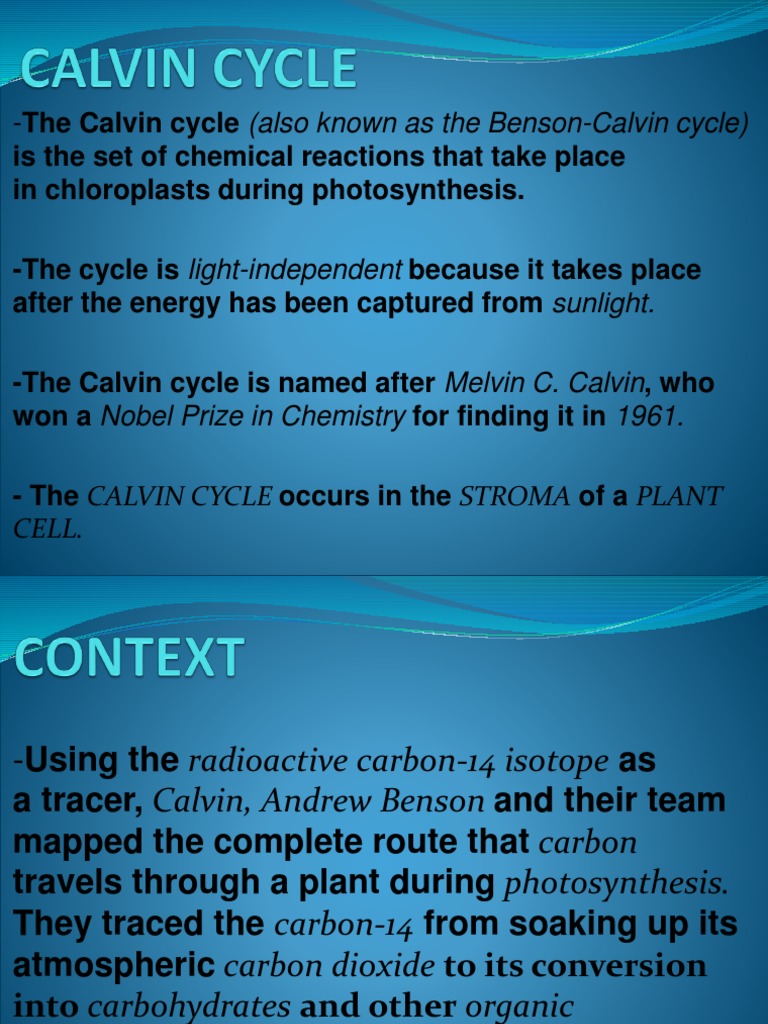 The Calvin Cycle (Also Known As The Benson-Calvin Cycle) | PDF ...