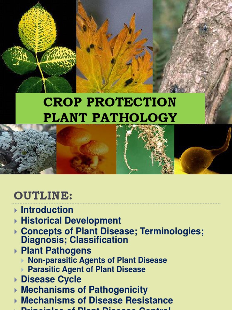 Overview of Plant Pathology and Impact | PDF | Self-Improvement | Wellness