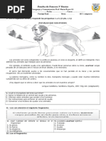 Prueba Lectura Complementaria El Superzorro | PDF | Ocio