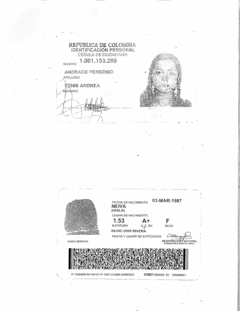 Cedula Andrea PDF | PDF