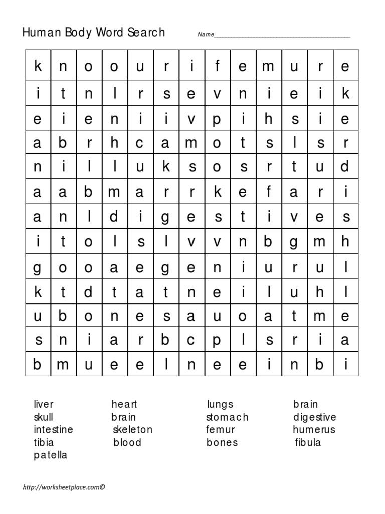 Wordsearch Human Body | PDF | Human Body | Human Anatomy