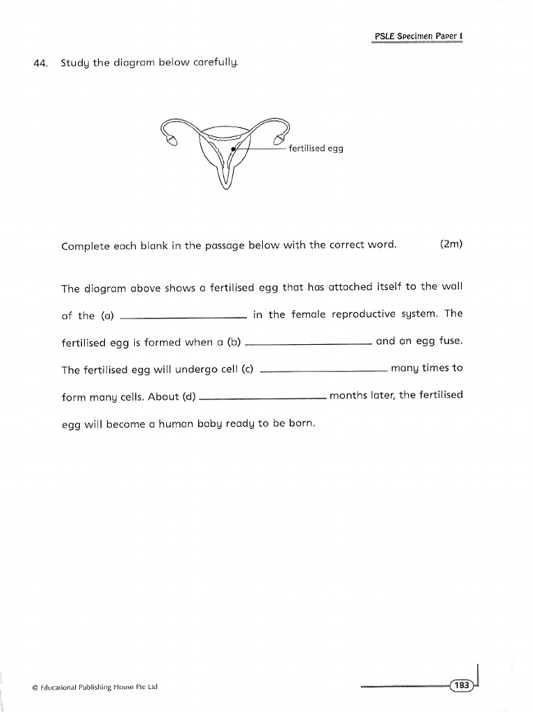 PSLE Science Specimen Paper | PDF