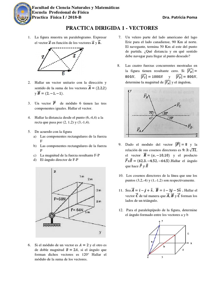 PD1-Fisica 2018B | Descargar gratis PDF | Vector Euclidiano | Triángulo