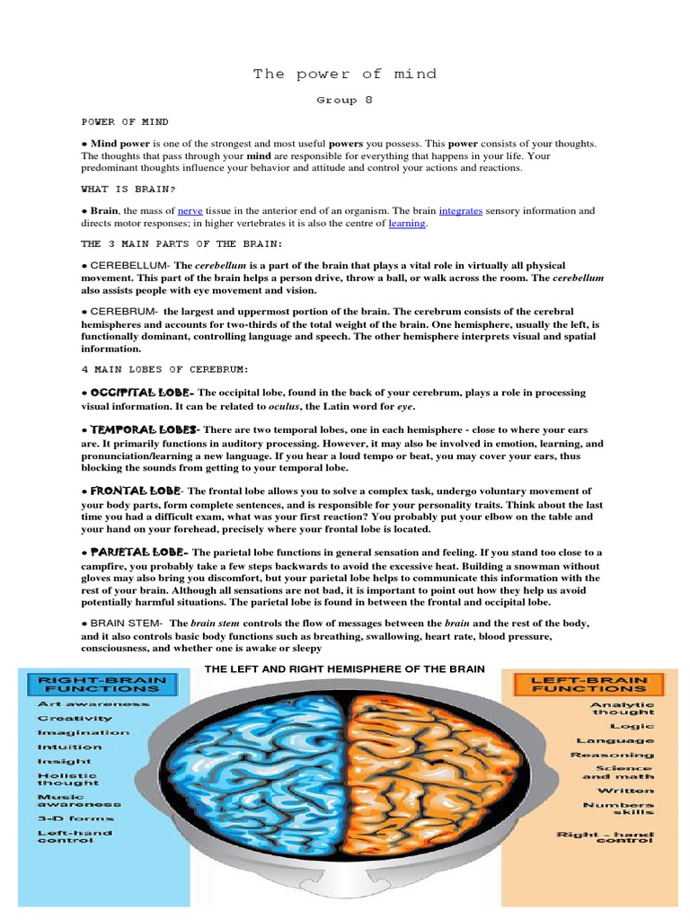 The Power of Mind | PDF | Cerebrum | Cerebellum